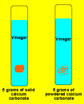 Yr. 9 and 10 Scientific Method Practice Test