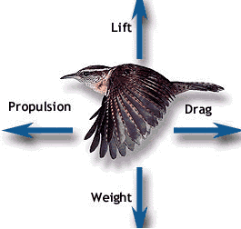 Forces test Science of Conflict