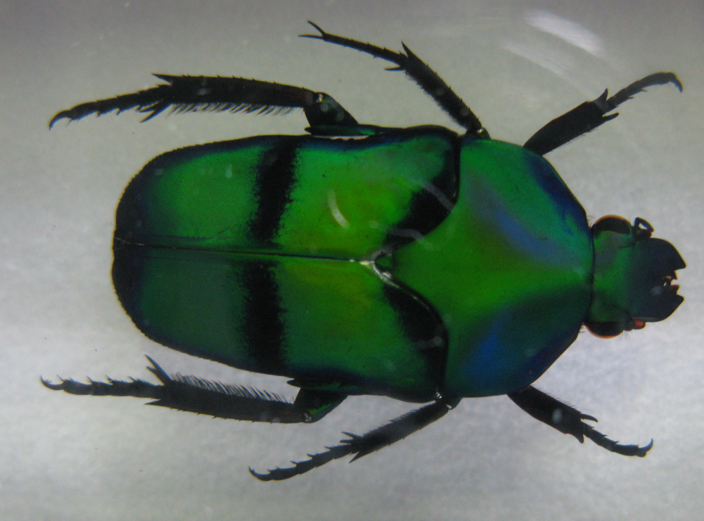 Untitled Document [www.dynamicscience.com.au]