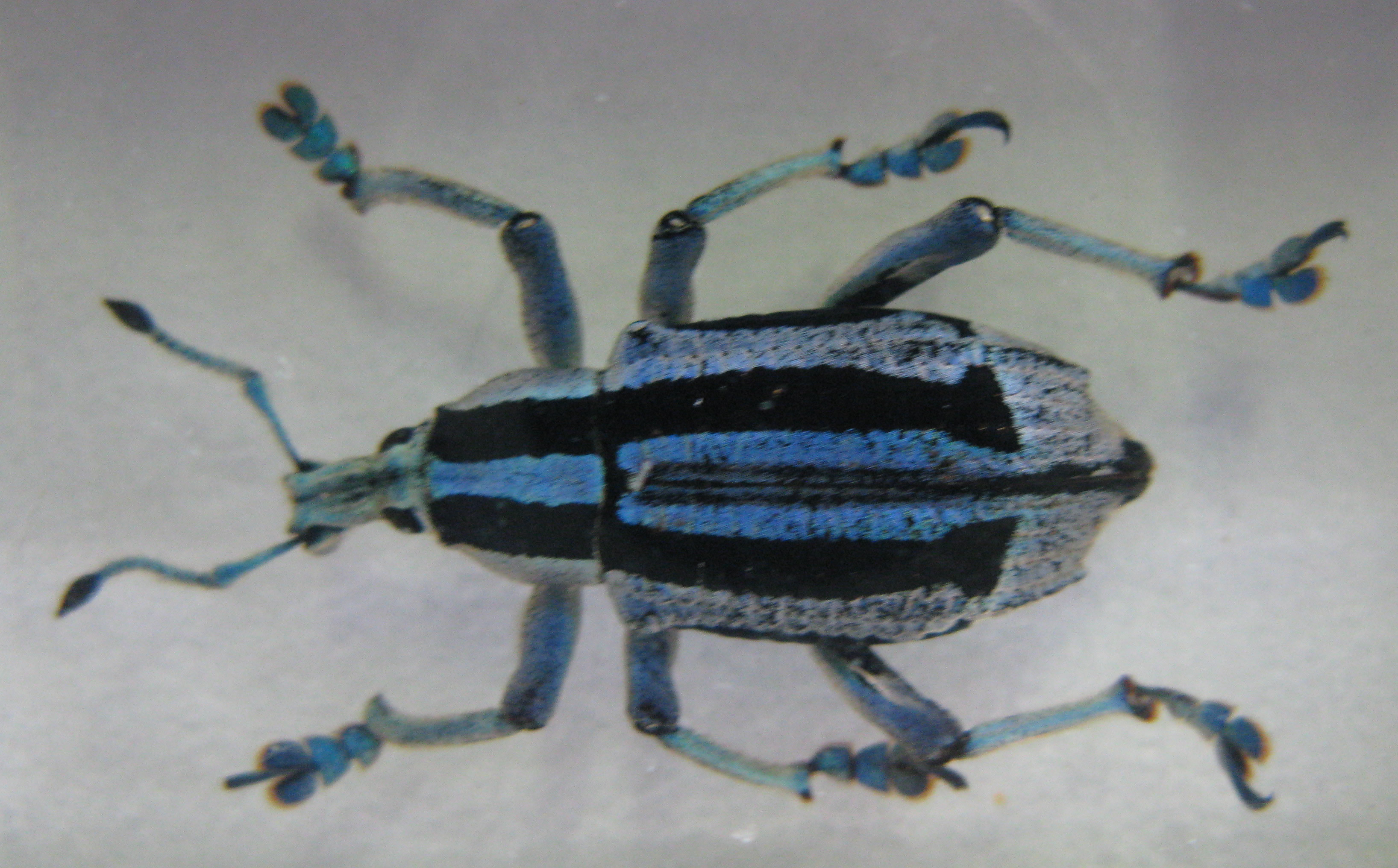 Untitled Document [www.dynamicscience.com.au]