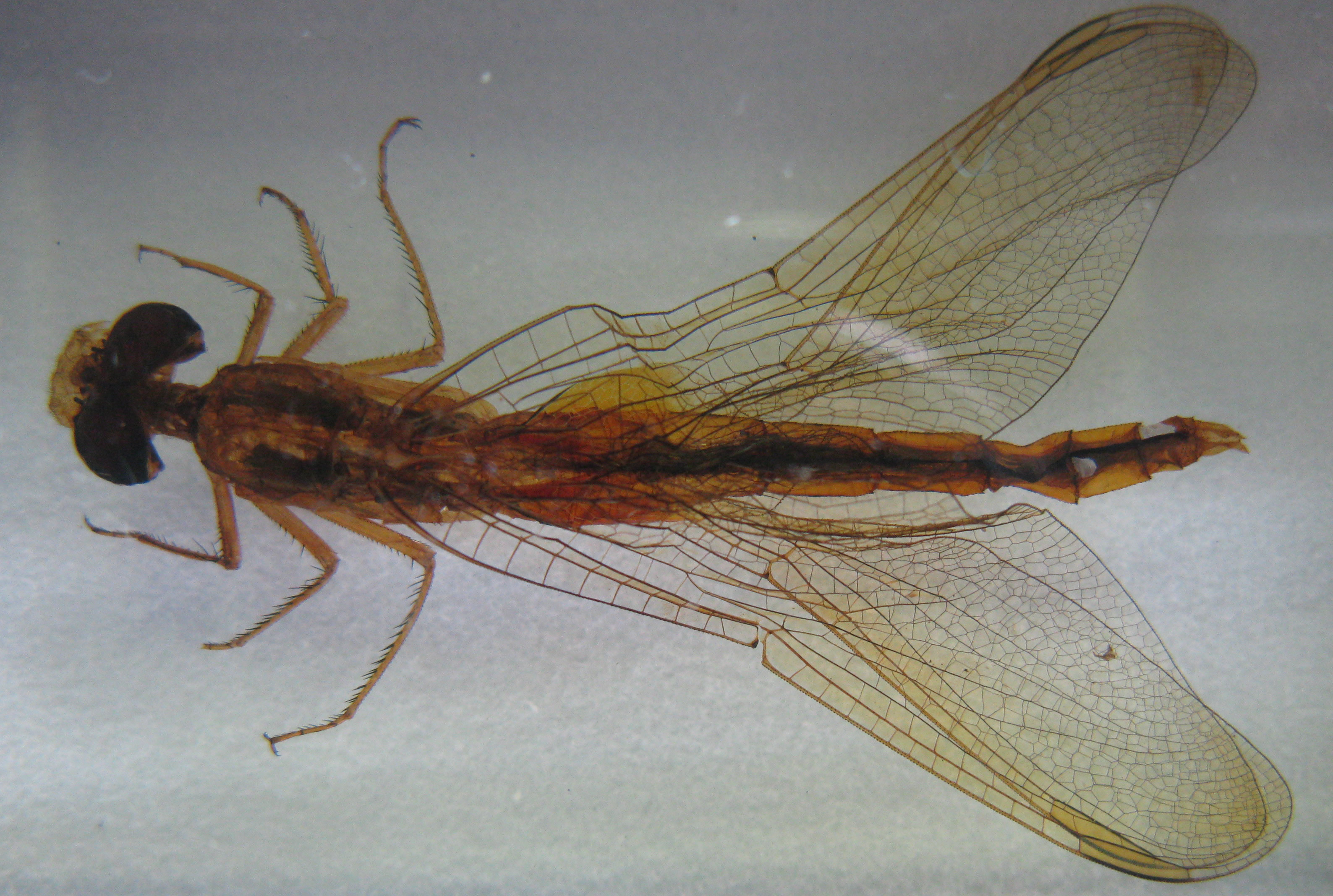 Untitled Document [www.dynamicscience.com.au]