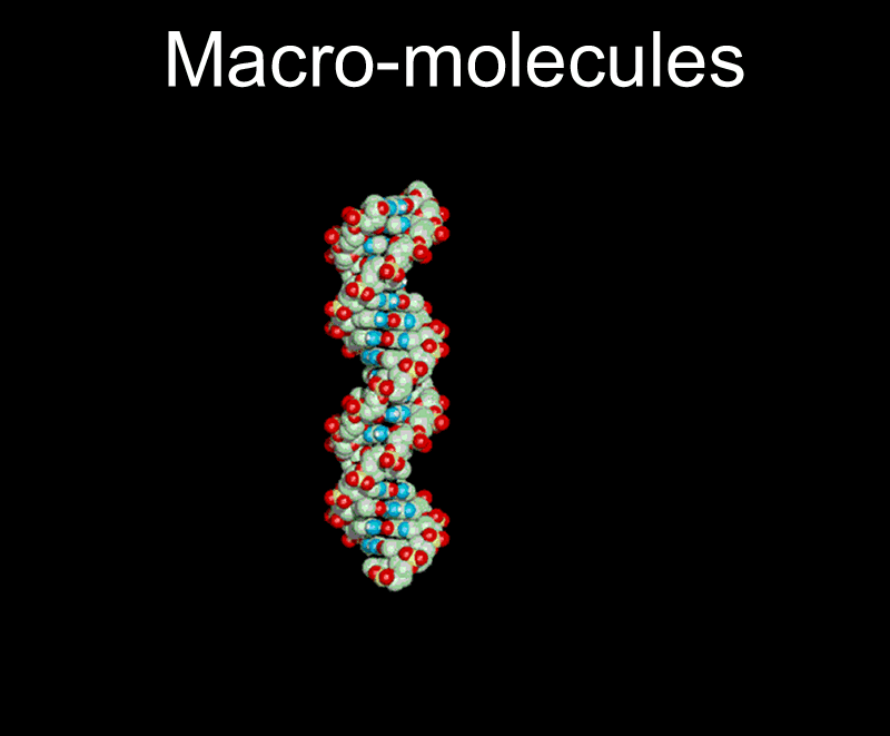 Organic chemistry - index