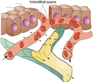 sports medicine-rehydration