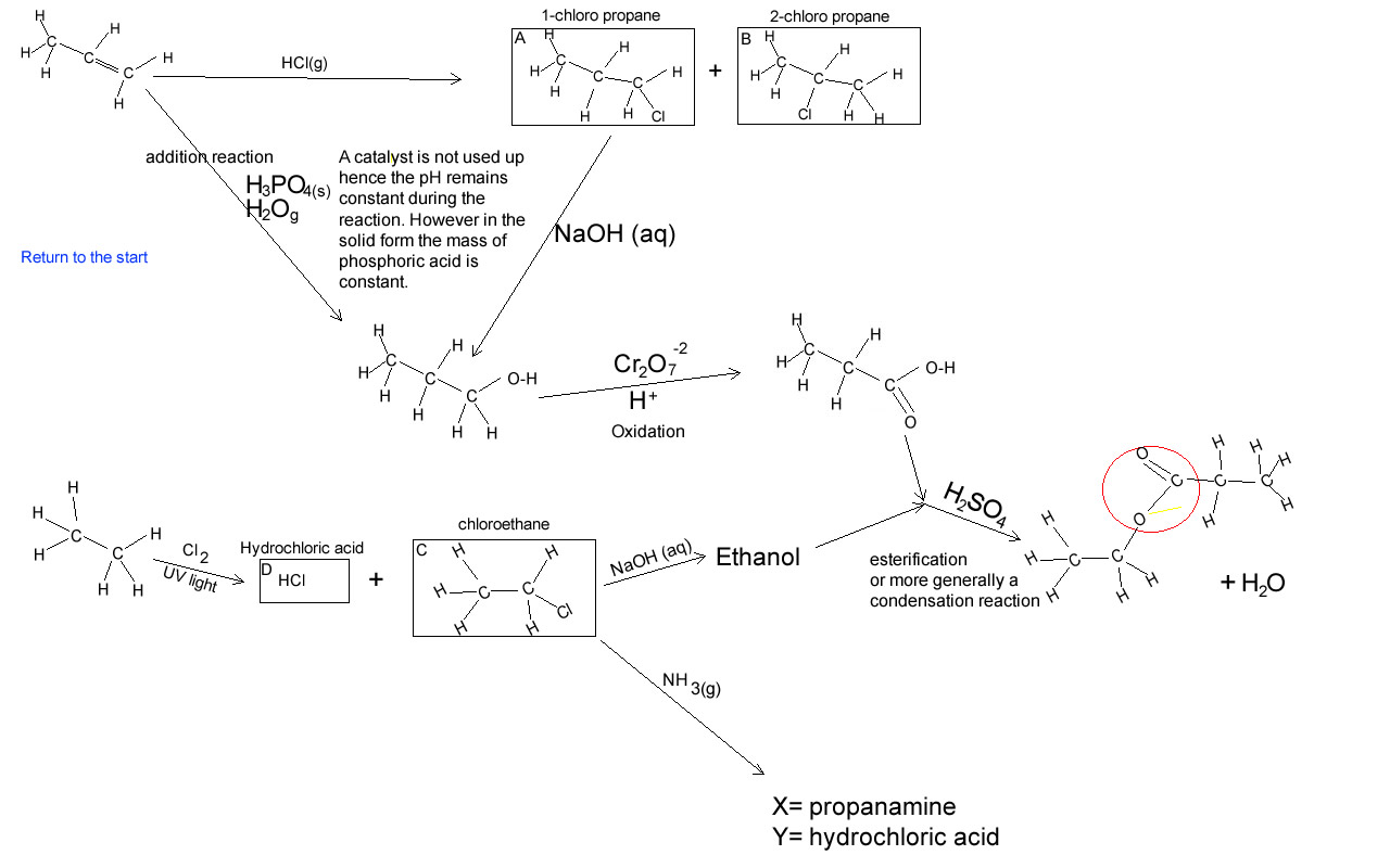 Chemistgry-organic pathways-16